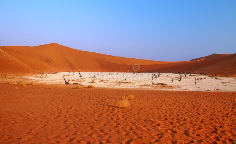 Dead valley in Namibia stock photo. Image of dawn, orange - 44163510