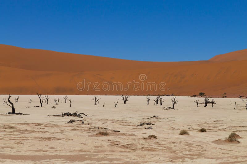 Dead Vlei stock image. Image of desert, lake, namibian - 52916619