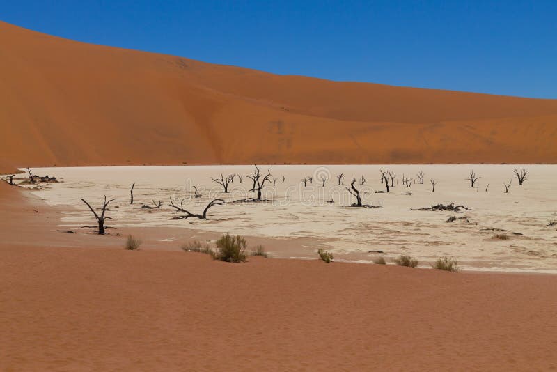 Dead Vlei stock photo. Image of dunes, park, desert, panorama - 53260888