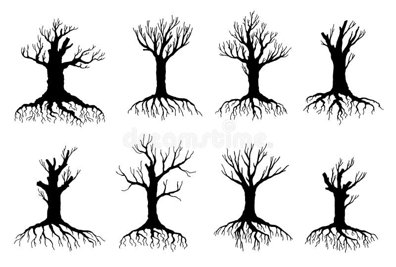 Tree Twisted Trunk Roots Stock Illustrations – 62 Tree Twisted Trunk ...