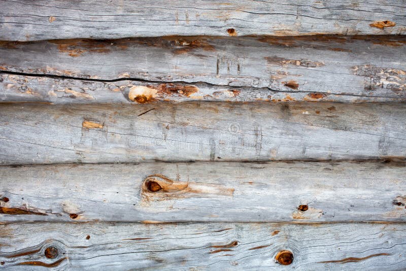 Dead wood wall stock photo. Image of grain, pattern, backdrop - 93840192