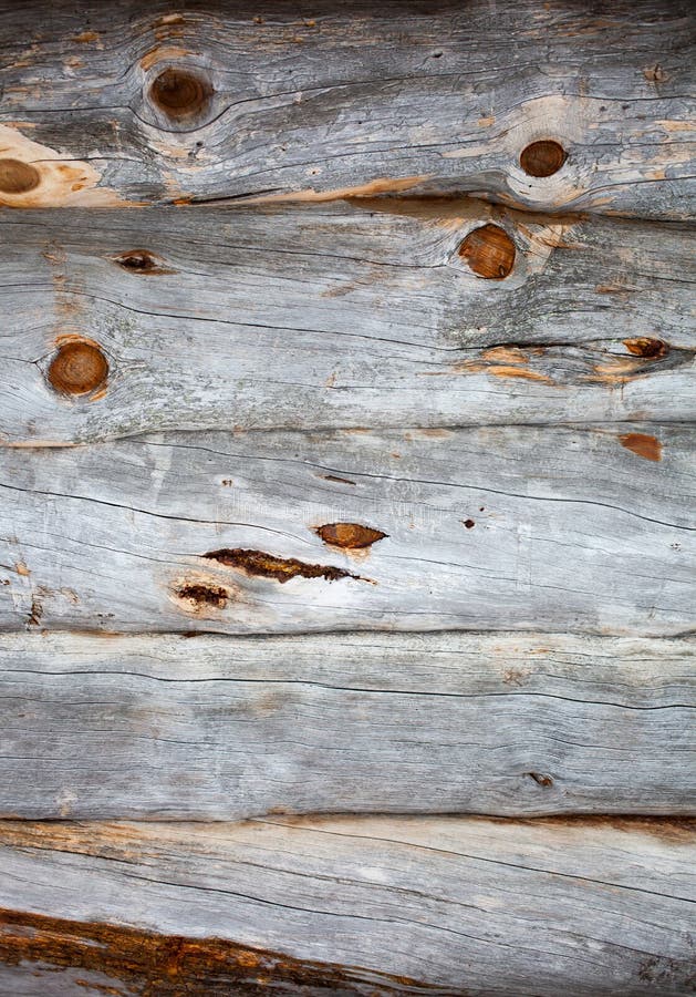 Dead wood wall stock photo. Image of natural, idyllic - 93840668