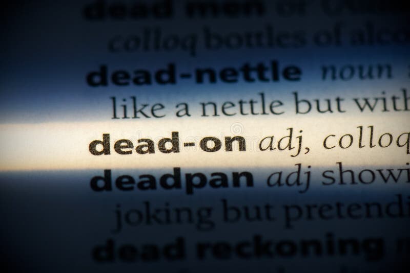 Dead-on stock image. Image of paper, vocabulary, learn - 161578499