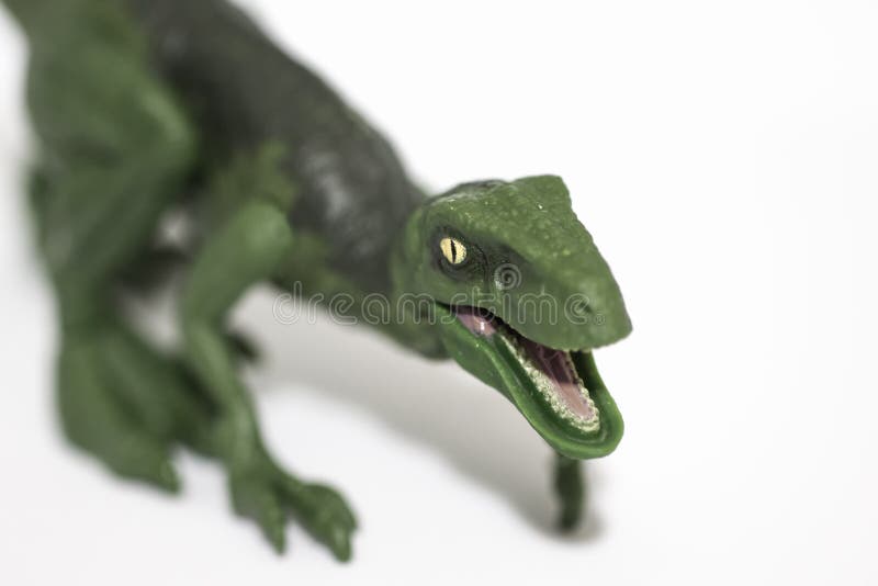 Velociraptor on White Background Ready To Attack Stock Image - Image of ...