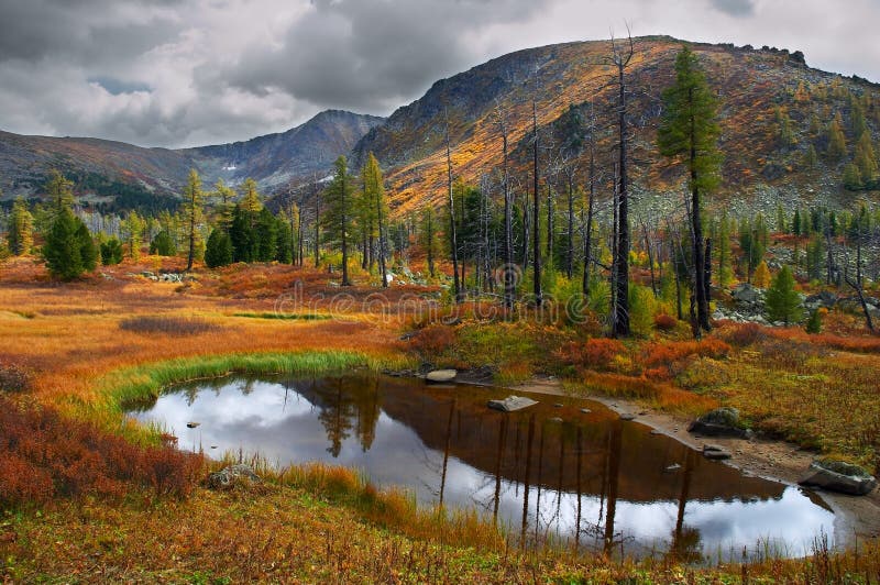 Yellow Grass Meadow with Mountain Peak on the Torres Del Paine Hike in ...