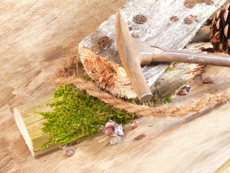 Deadwood still life stock image. Image of tool, deadwood - 20361025