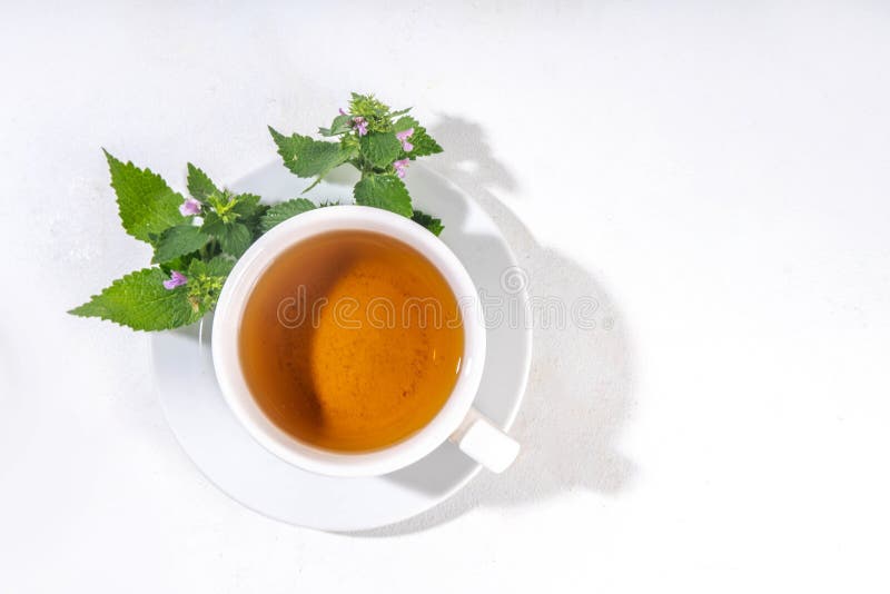 Deaf nettle herbal tea stock photo. Image of organic - 324799754