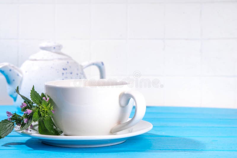 Deaf nettle herbal tea stock image. Image of healthy - 324799927