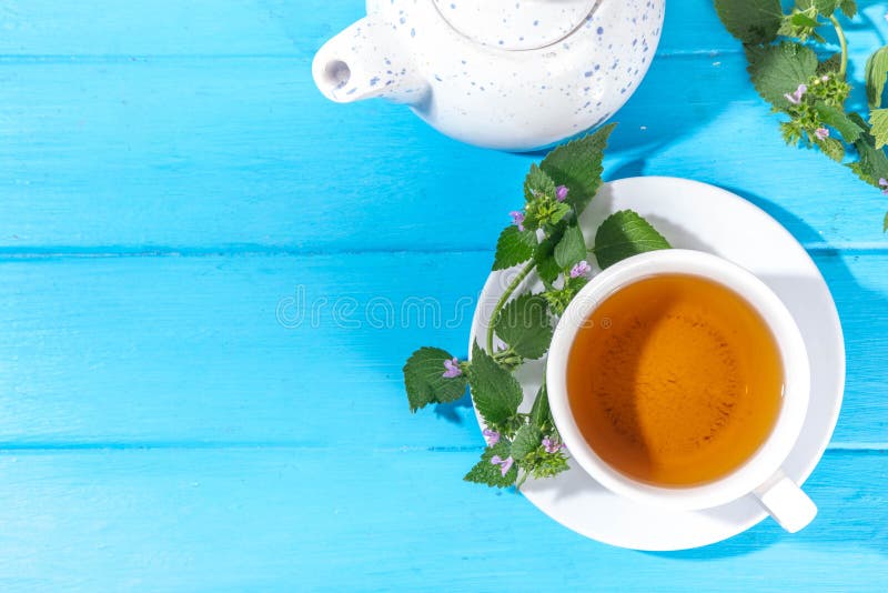Deaf nettle herbal tea stock photo. Image of leaf, drink - 324800064