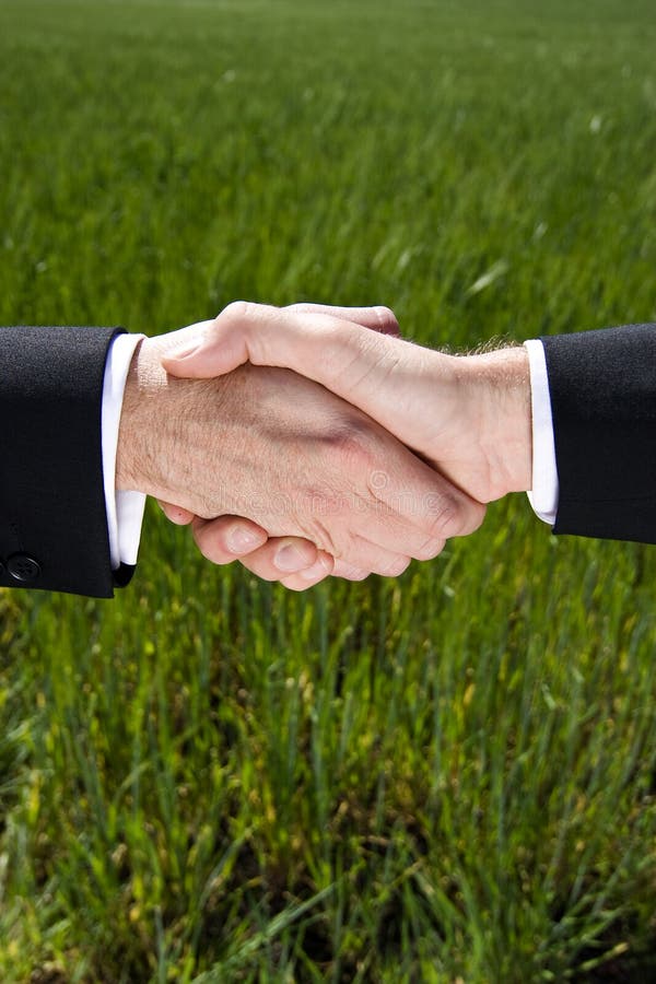 Deal stock photo. Image of caucasian, vertical, suit - 15925172