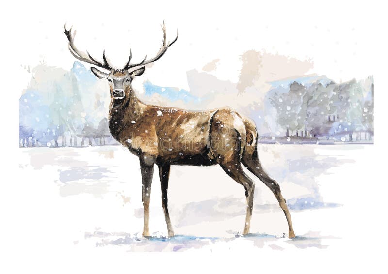 Dear Drawing Stock Illustrations – 2,483 Dear Drawing Stock ...