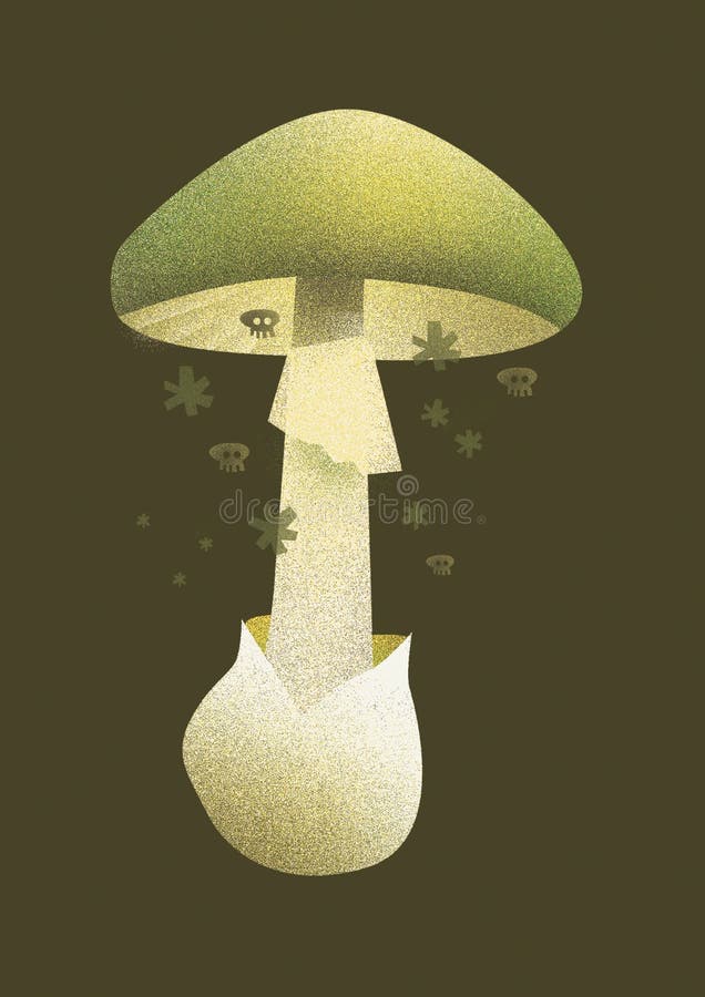 Death Cap Mushroom Stock Illustrations – 493 Death Cap Mushroom Stock ...