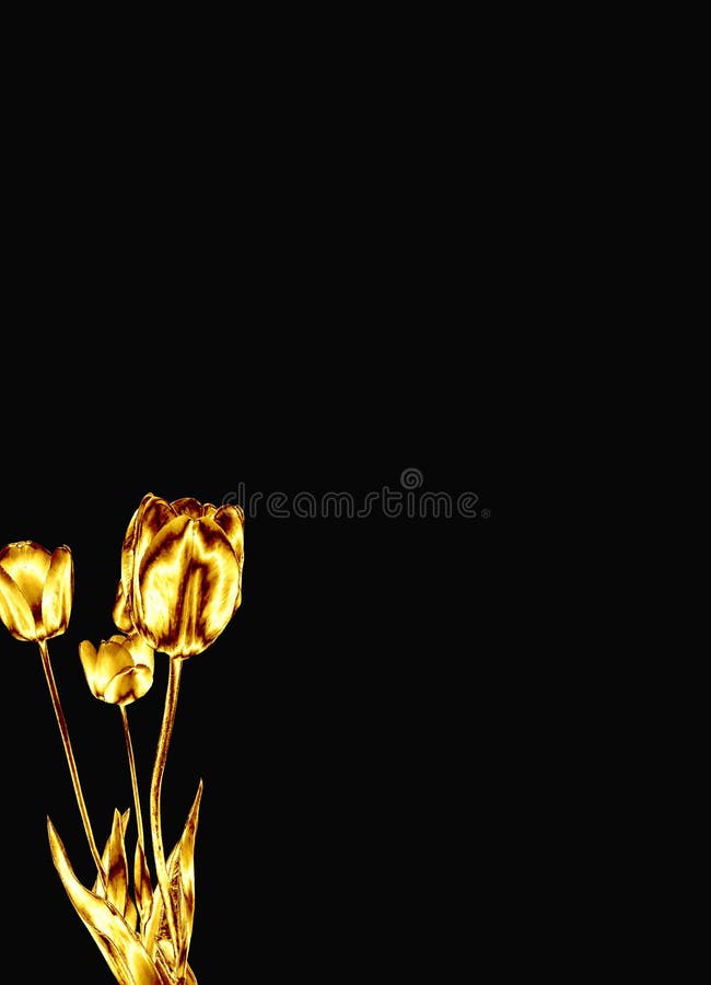 Death Card, Funeral, Commemoration with Roses on a Black Background ...