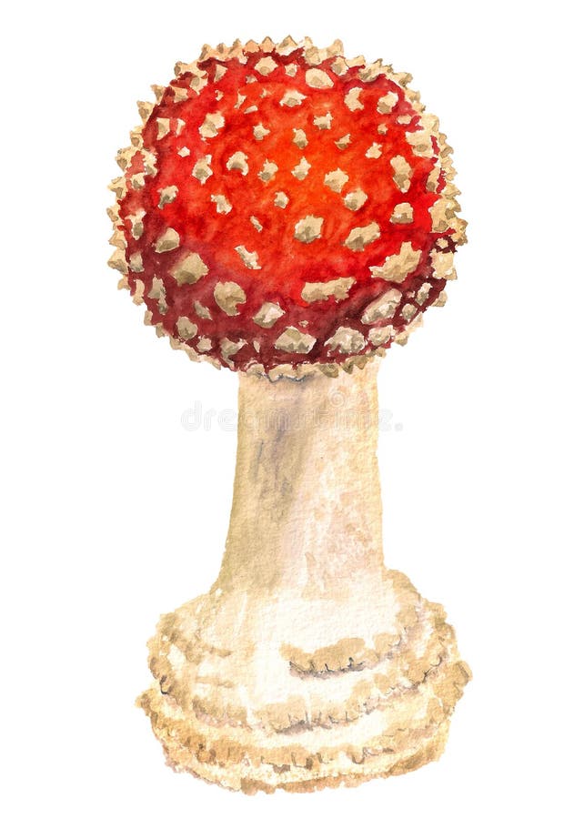 Muscarine Mushroom Toxin Molecule. Agonist of the Muscarinic ...