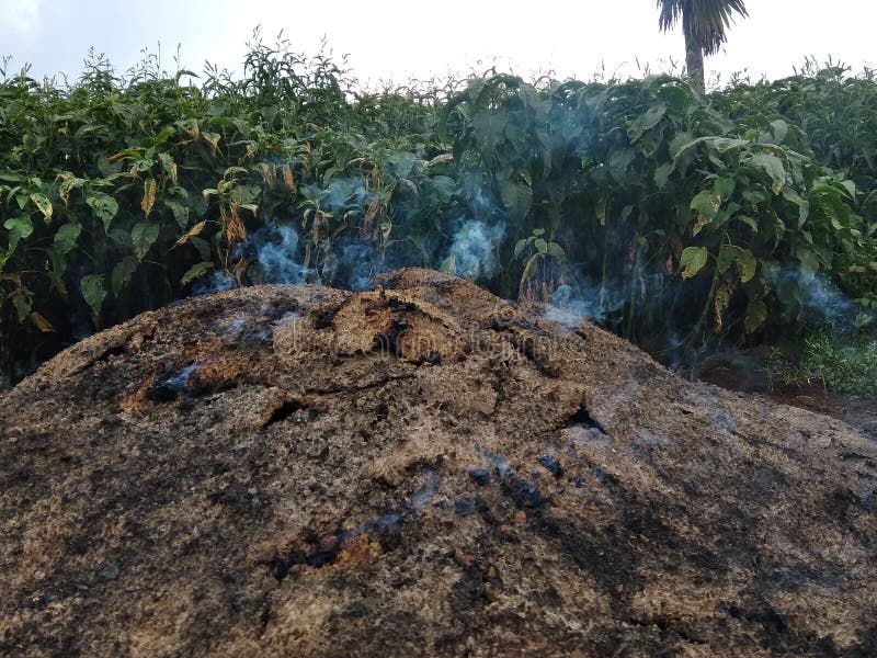 The death fire stock photo. Image of death, blur, blue - 180203412