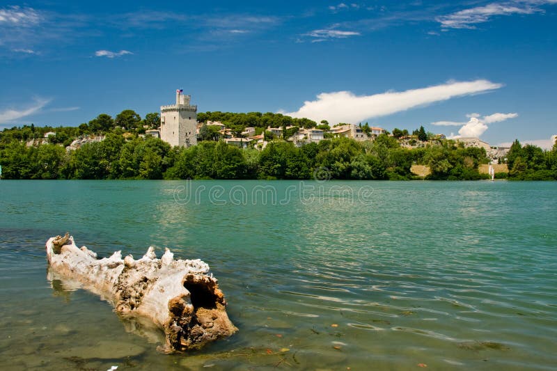 Death Log in Water of Rhone Stock Image - Image of forrest, scene: 11627209