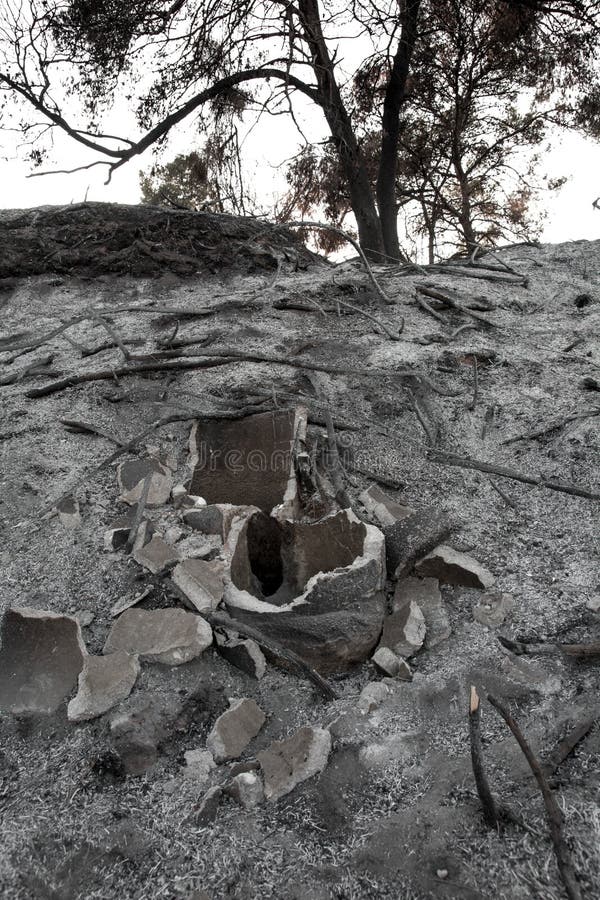 Death Nature, Forest Fire, Ecology Issues Stock Photo - Image of brener ...