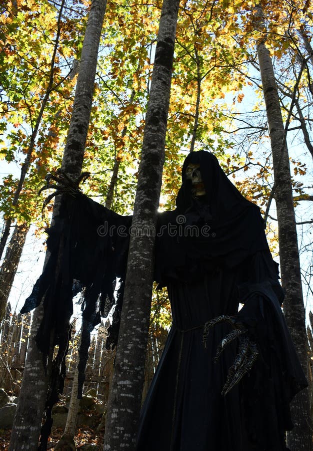 Death Pointing stock image. Image of skeletons, tree - 335531201