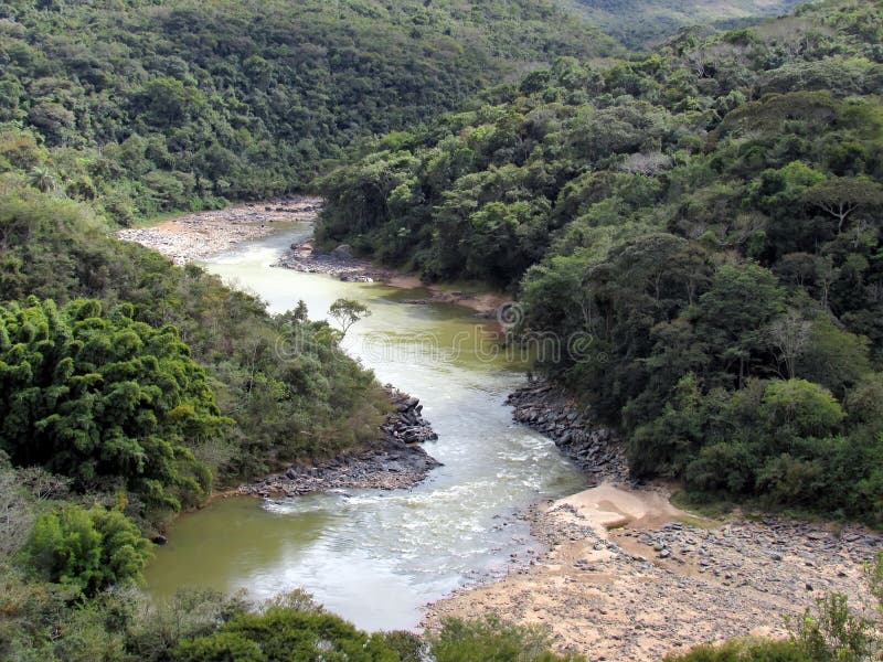 Death river stock image. Image of tree, waterfall, rapids - 96294057