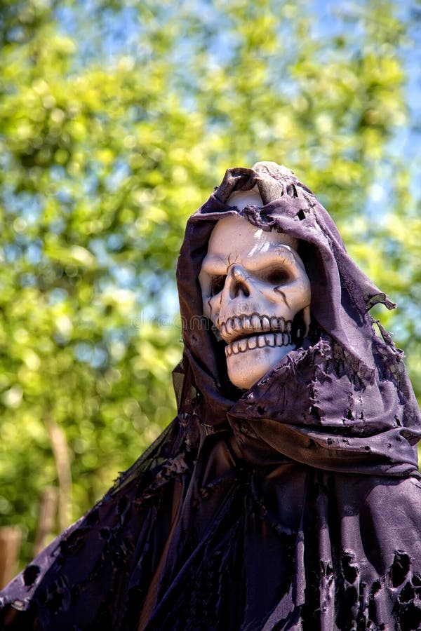 Death - skeleton stock image. Image of portrait, skeleton - 55140147