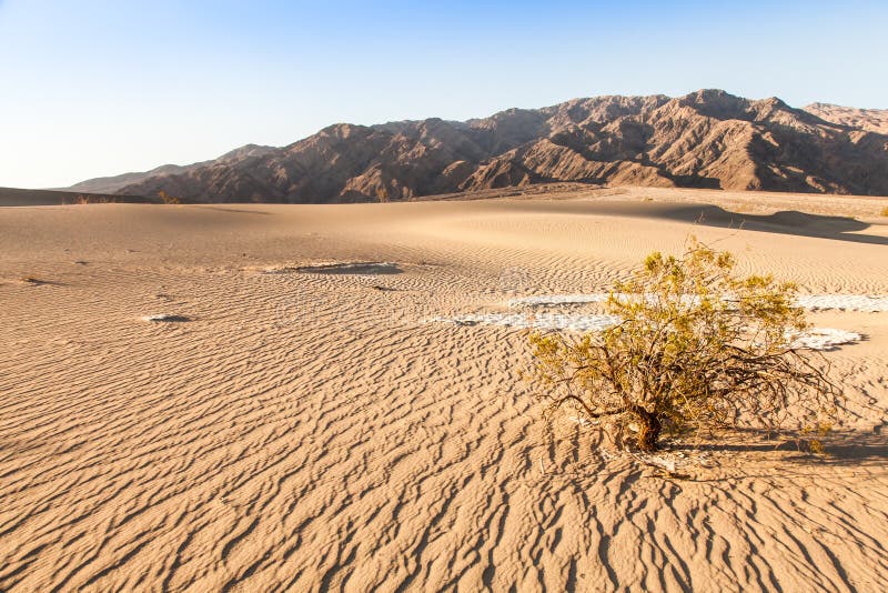 Death Valley Desert stock image. Image of landscape, arid - 38148131