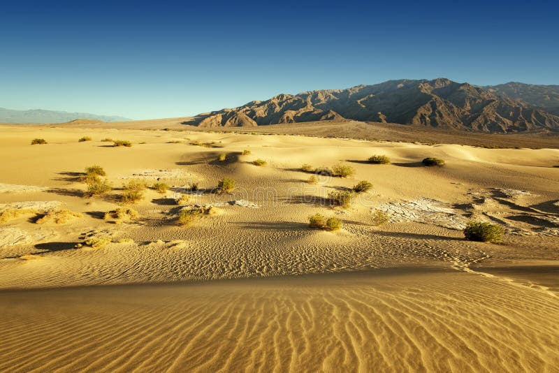 Death Valley desert stock photo. Image of arid, landscape - 69976036