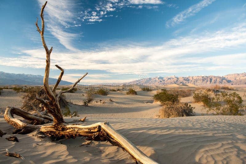 Death Valley National Park stock image. Image of beautiful - 93750913
