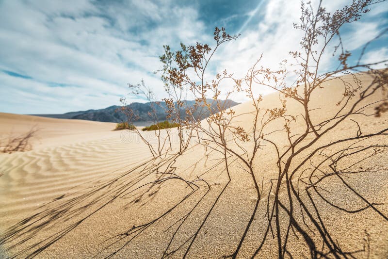 Death Valley stock image. Image of scenic, sand, wilderness - 81836657