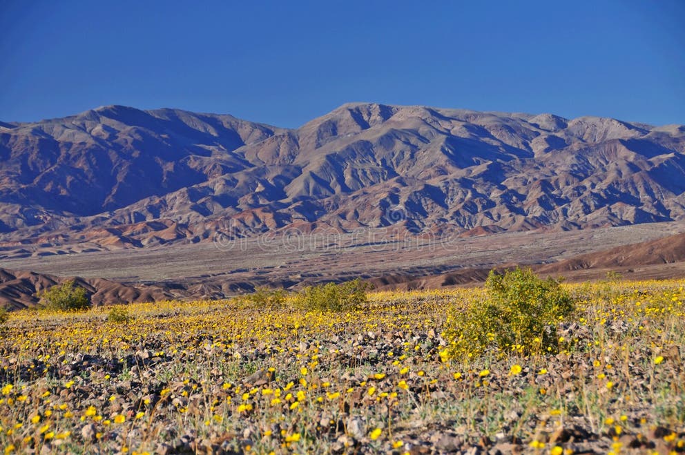 Death Valley in spring stock photo. Image of point, park - 8999256