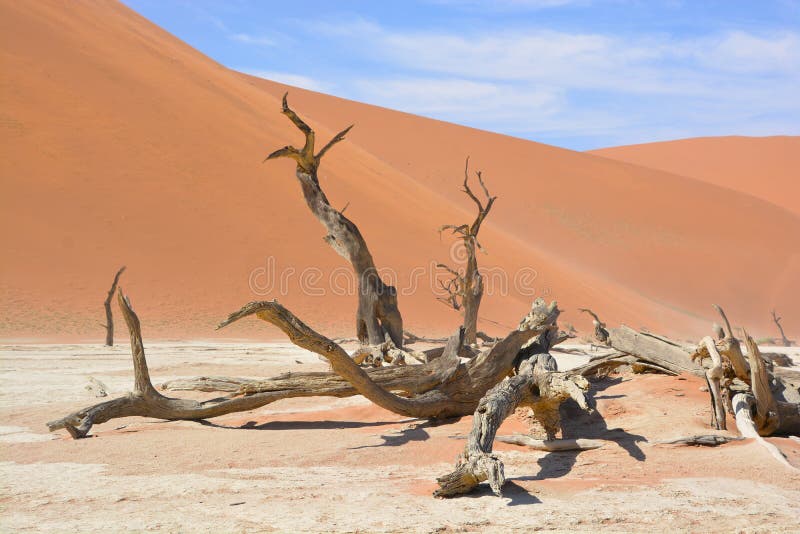 Death Valley in Namibia. stock photo. Image of geology - 256480636