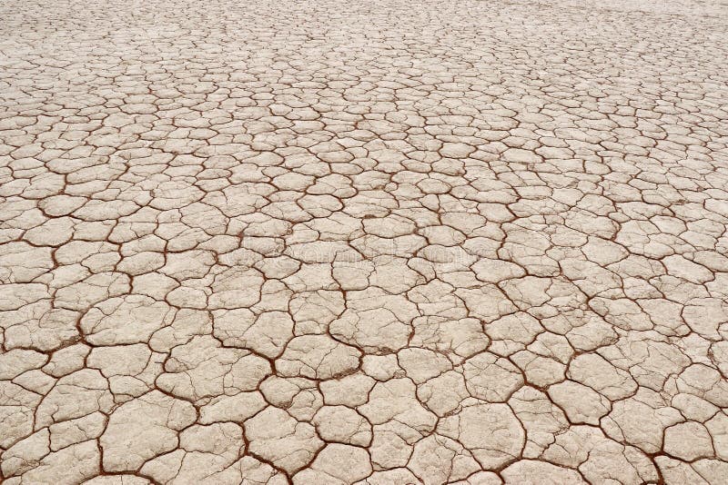 Death in soil stock photo. Image of black, broken, death - 8469020