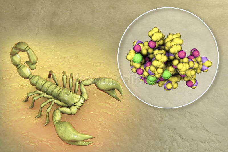 Chlorotoxin Scorpion Toxin. Peptide Toxin Present in Deathstalker ...