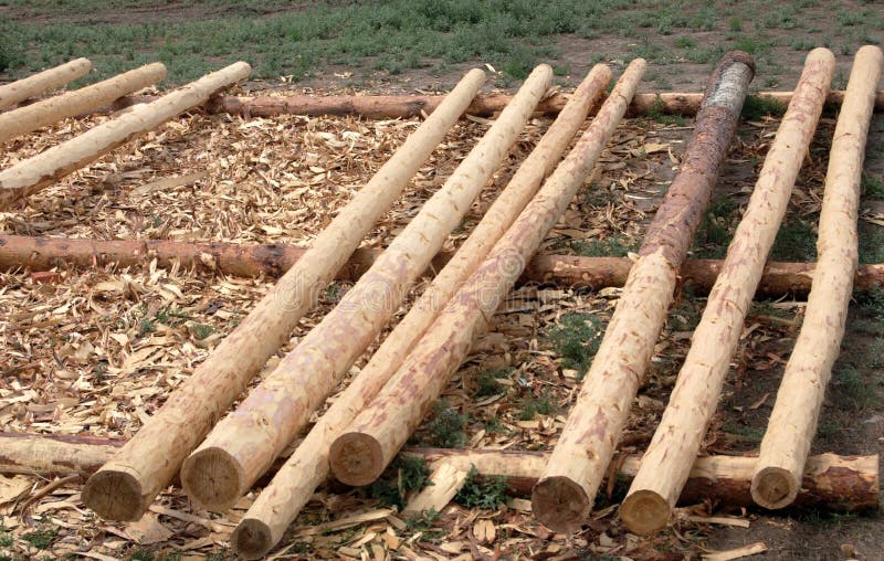 Debarked poles stock image. Image of pole, timbers, wooden - 5605943