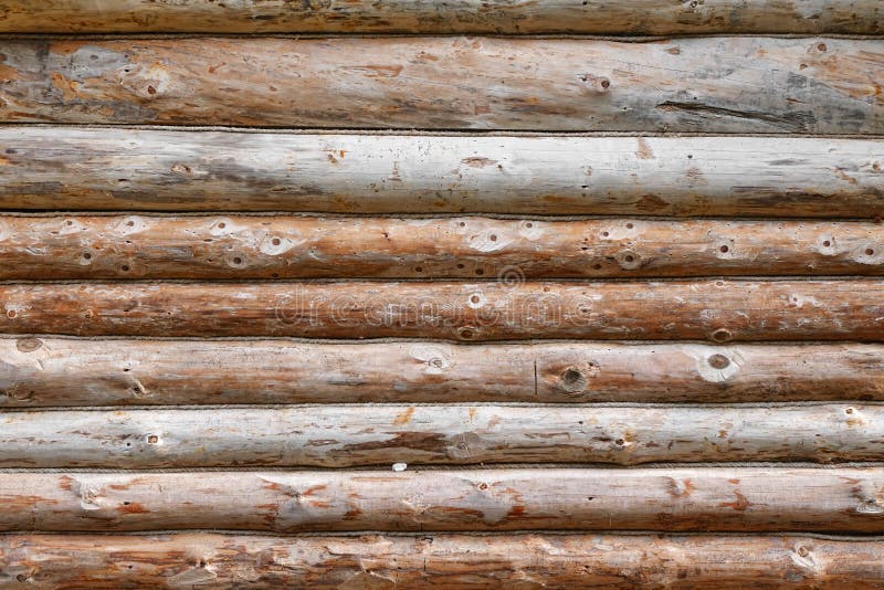 Debarked whole logs stock image. Image of logs, fresh - 5605951