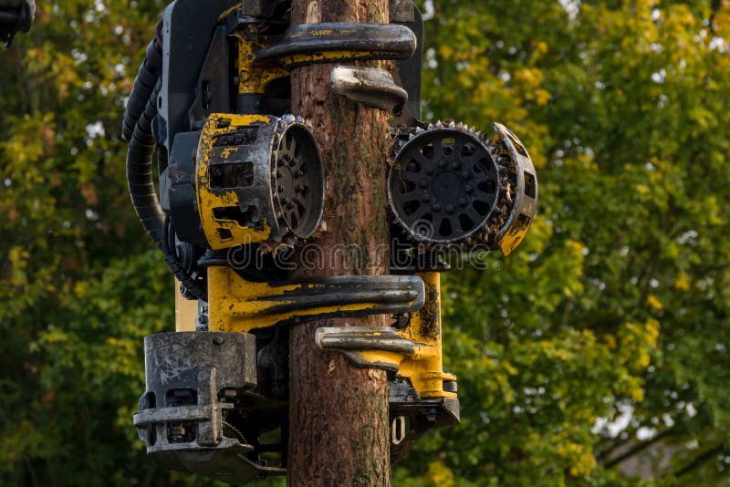 Debarking tool stock image. Image of tool, tree, mill - 79606655