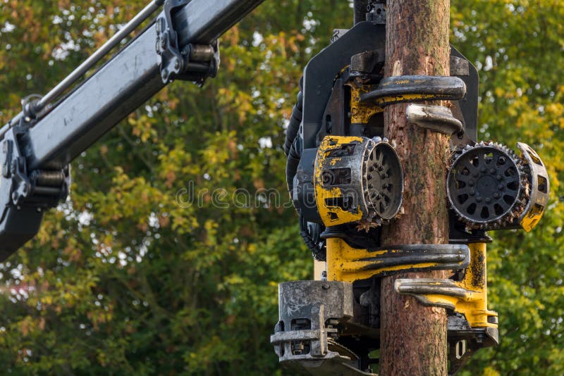 Debarking tool stock image. Image of mill, forest, efficiency - 79606661