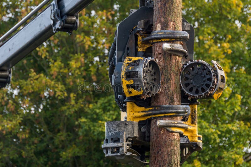 Debarking tool stock photo. Image of tree, tool, construction - 79623178