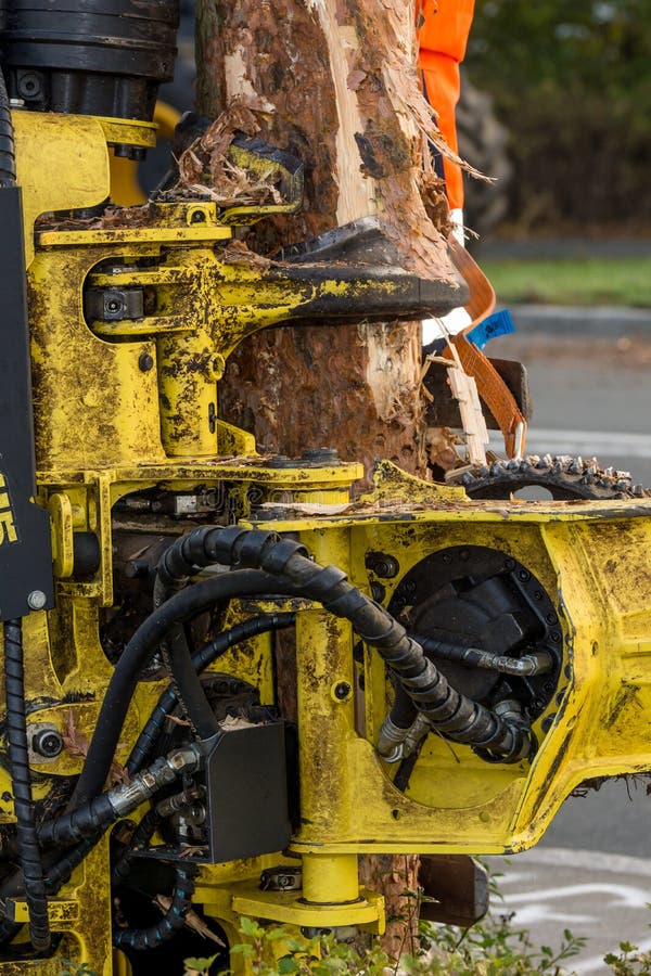 Debarking tool stock image. Image of industry, technology - 79624225
