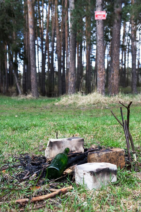 Debris and Extinguished Bonfire in the Woods Stock Image - Image of ...