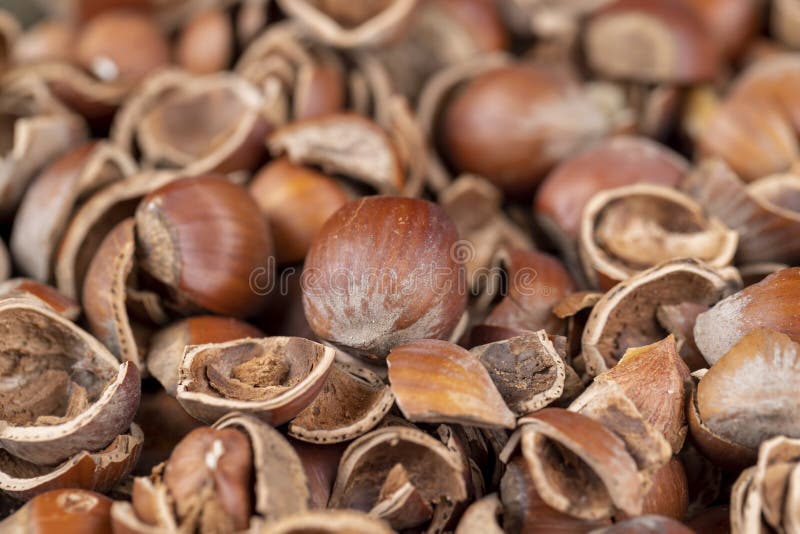 Debris Left after Peeling the Hazelnuts from the Shell Stock Image ...
