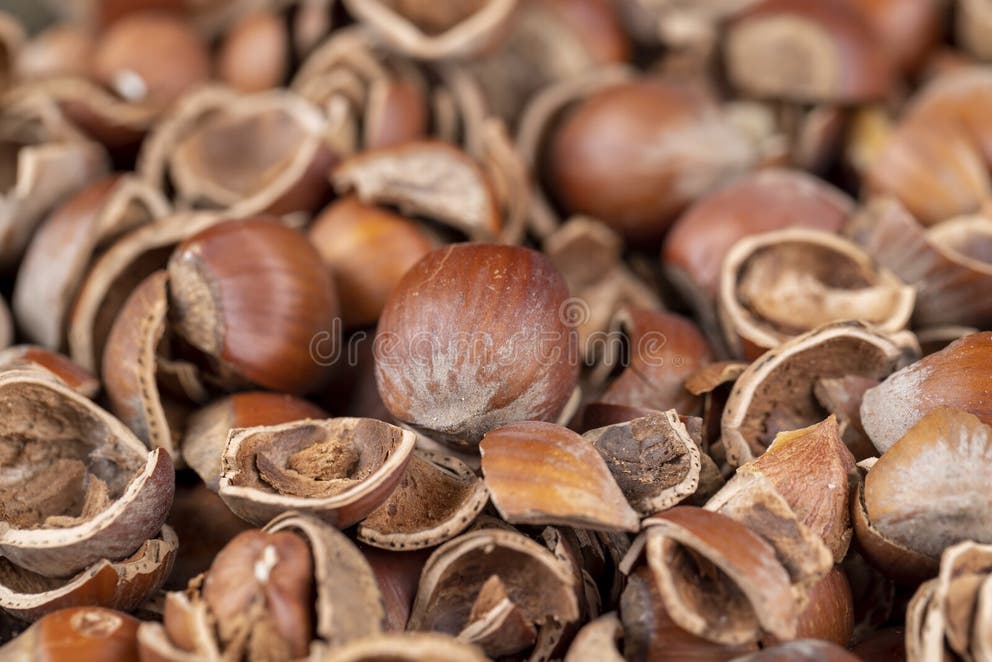 Debris Left after Peeling the Hazelnuts from the Shell Stock Image ...