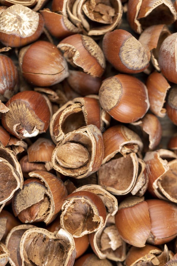 Debris Left after Peeling the Hazelnuts from the Shell Stock Image ...