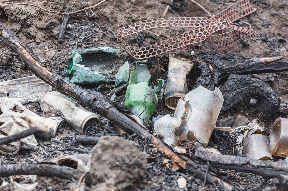 Debris Lies on the Ground in the Park after a Fire Stock Image - Image ...