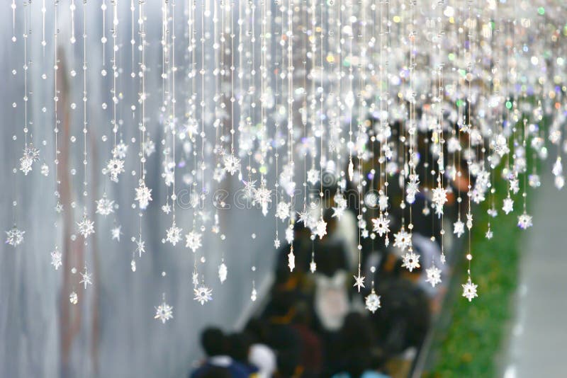 20 Dec 2008 the Christmas Lights Isolated Realistic Design Elements ...