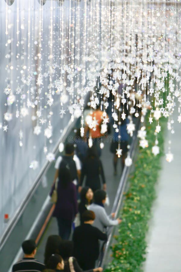 20 Dec 2008 the Christmas Lights Isolated Realistic Design Elements ...