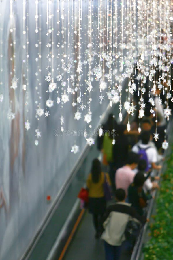 20 Dec 2008 the Christmas Lights Isolated Realistic Design Elements ...