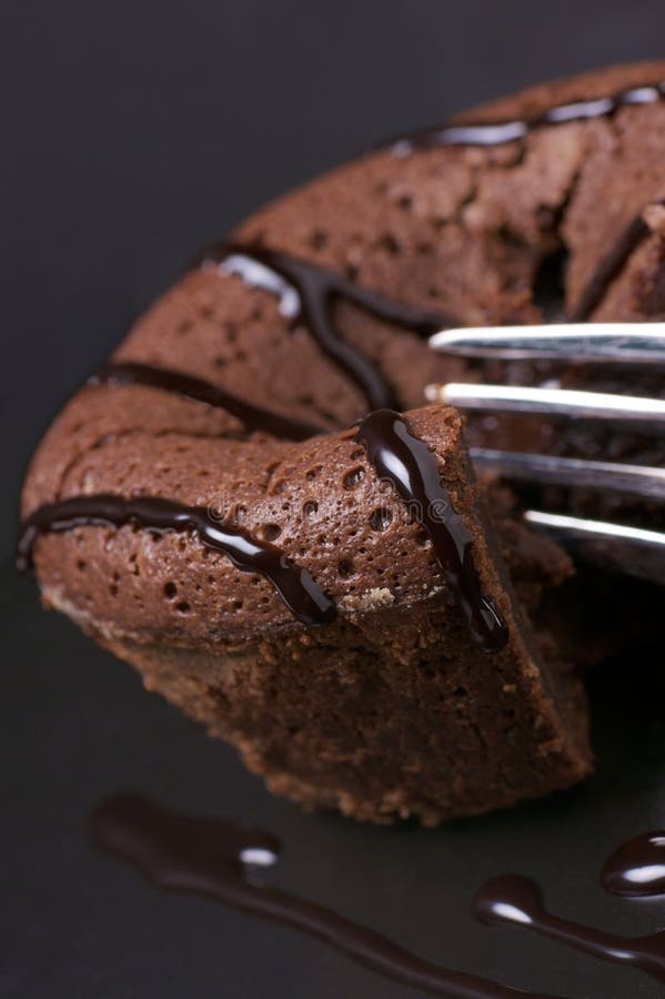 Decadent chocolate dessert stock photo. Image of food - 8529678