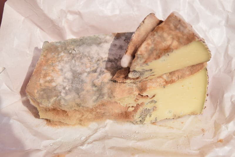 369 Queso Putrefacto Fotos de stock - Fotos libres de regalías de ...