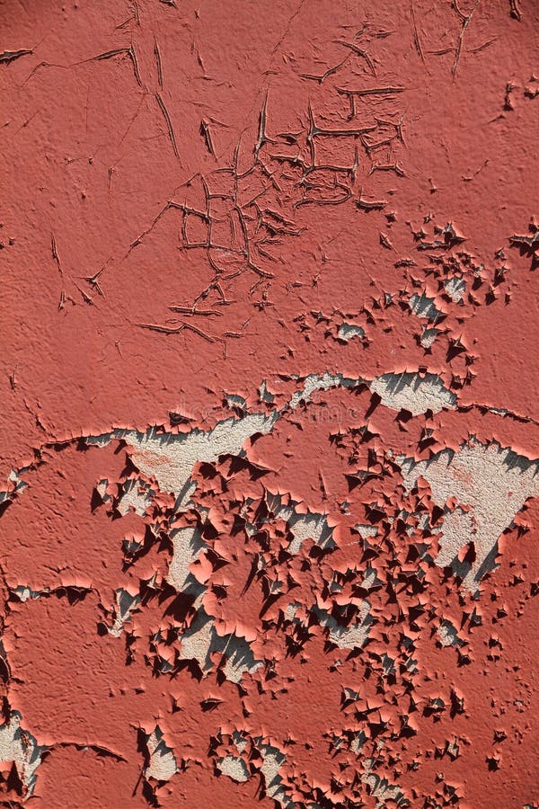 Decay stock image. Image of ancient, fall, closeup, grunge - 15143125