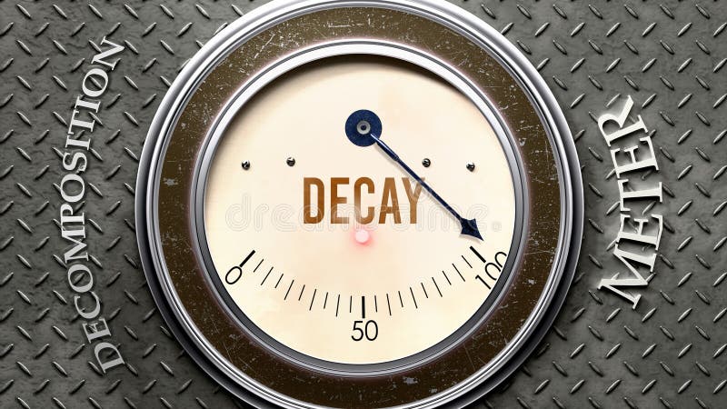 Decay and Decomposition that is Hitting a Full Scale, Showing a Very ...